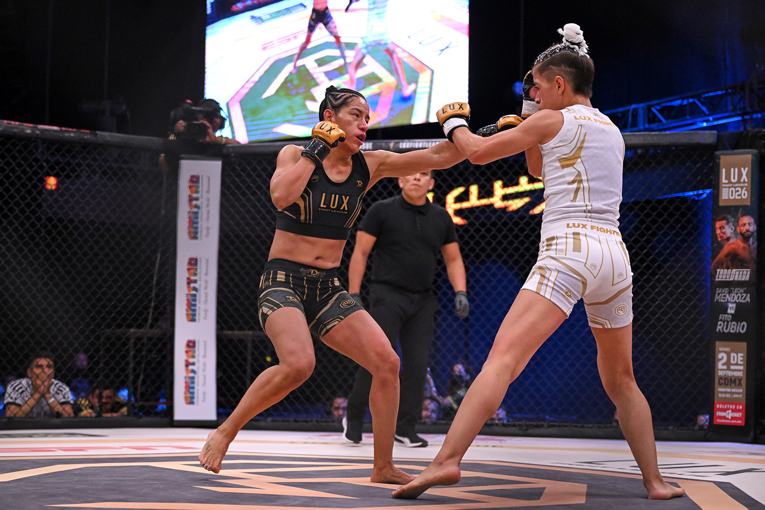 “NOCHE DE REINAS” EN LUX FIGHT LEAGUE | Titansports