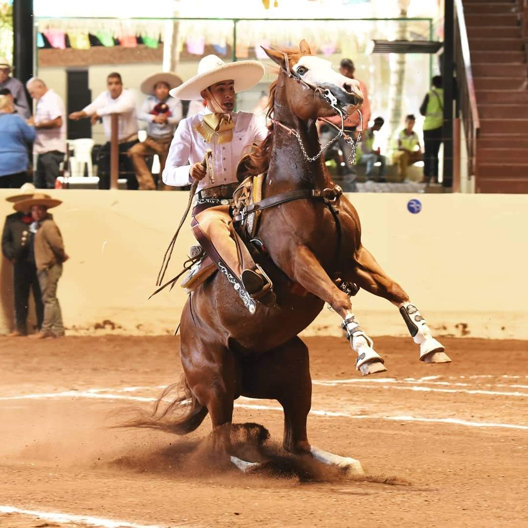 HOY QUERÉTARO TENDRÁ CAMPEÓN POR EQUIPOS Y CHARRO COMPLETO | Titansports