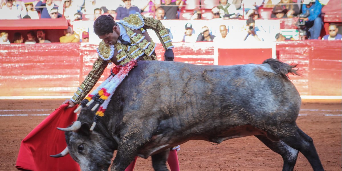 LA VERDAD DEL TOREO | Titansports